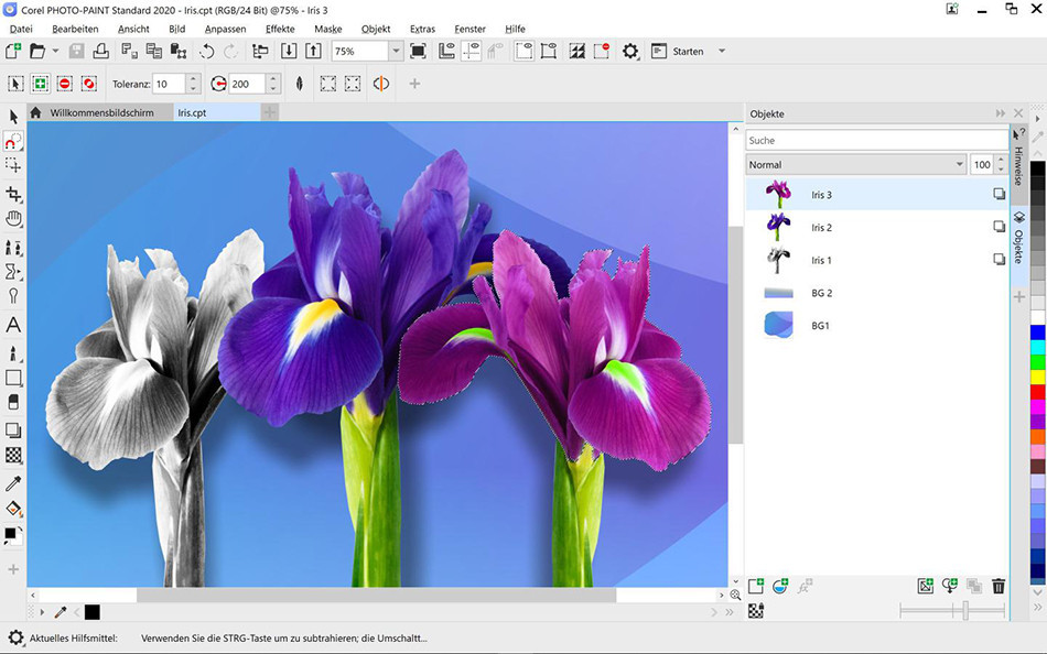 CorelDRAW Essentials 2020 und CorelDRAW Standard 2020 | FOTO HITS News